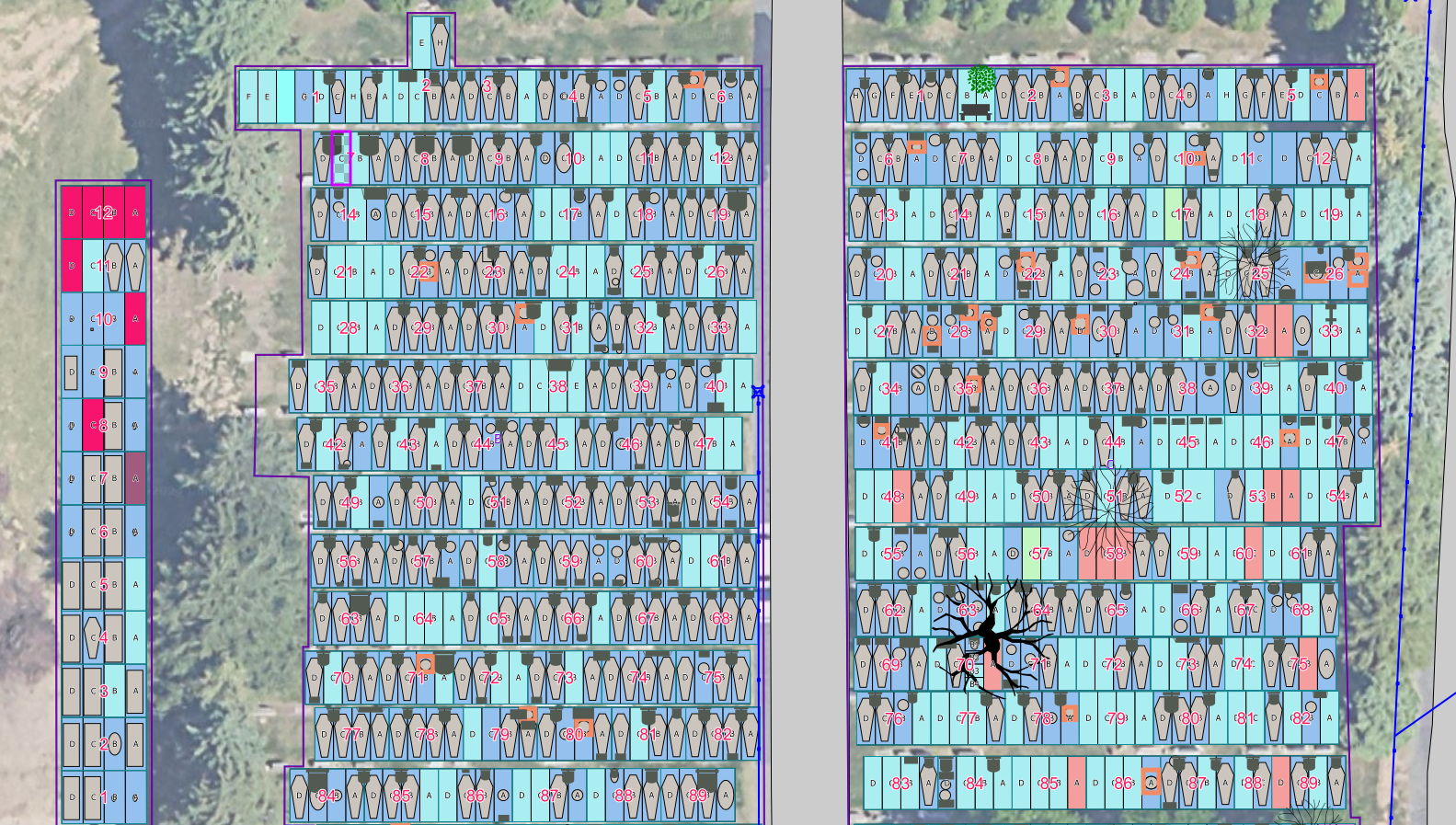 Embracing Efficiency with CIMS Cemetery Software